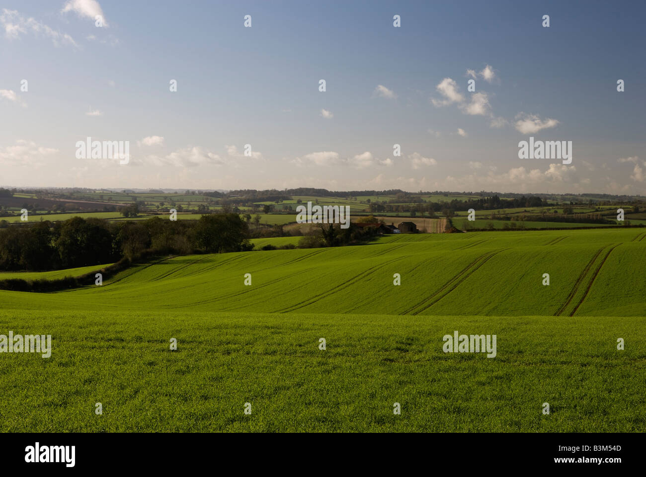Green Field, Brixworth, Northampton, Northamptonshire, England, UK ...