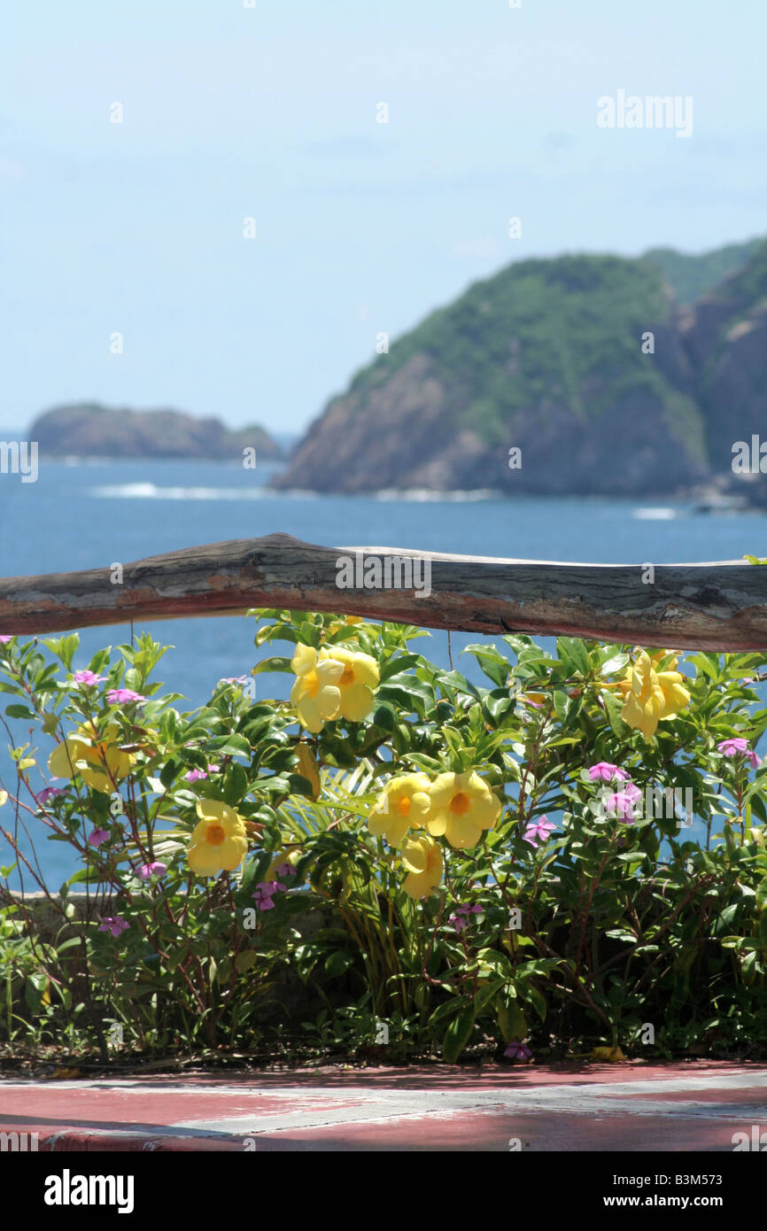 Flower And Ocean Landscape Wild Flowers On The Cliff Path 12x12"