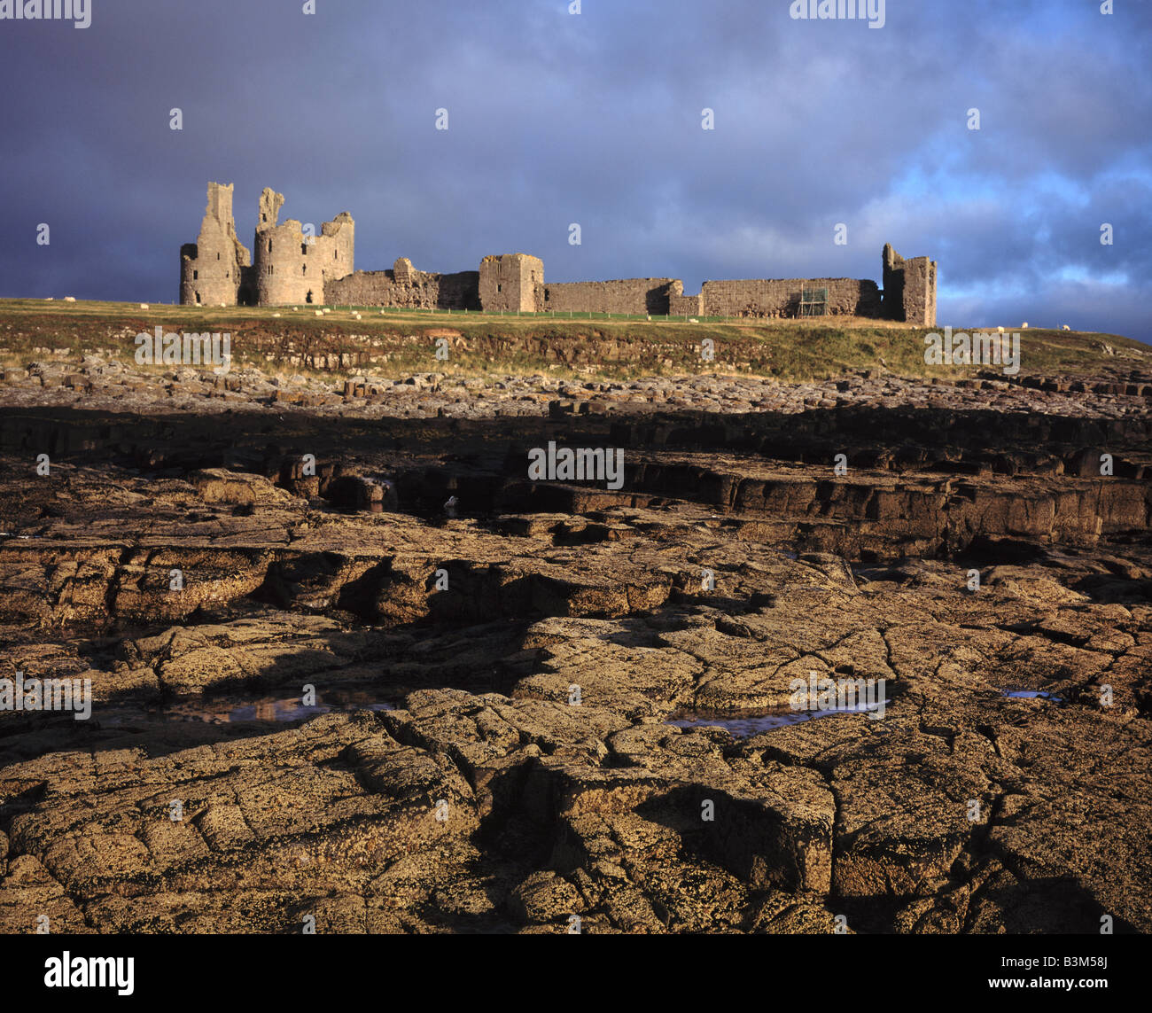 Dunstanburgh Castle Northumberland United Kingdom Stock Photo - Alamy