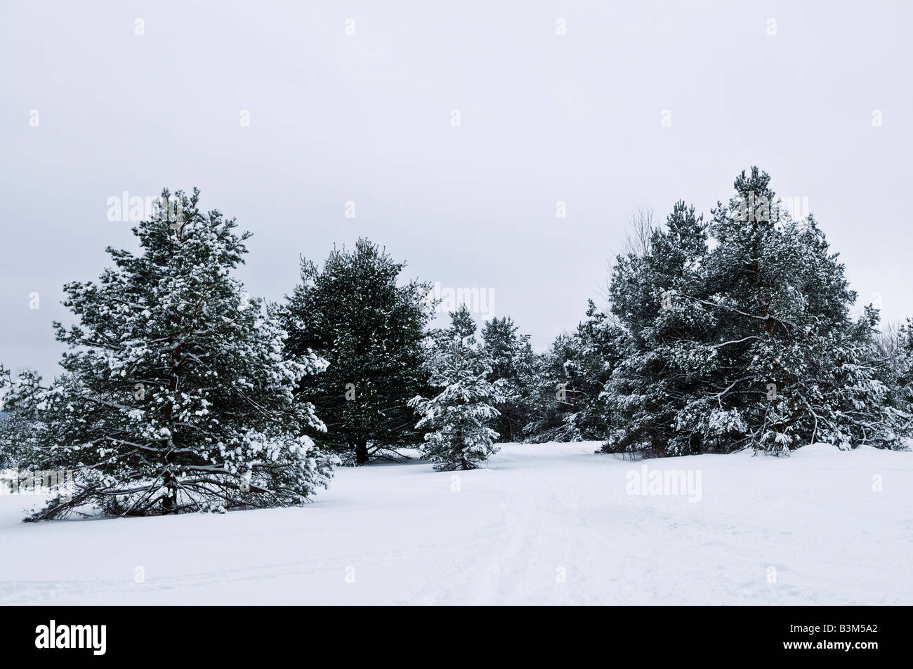 Gray snow sky hi-res stock photography and images - Alamy