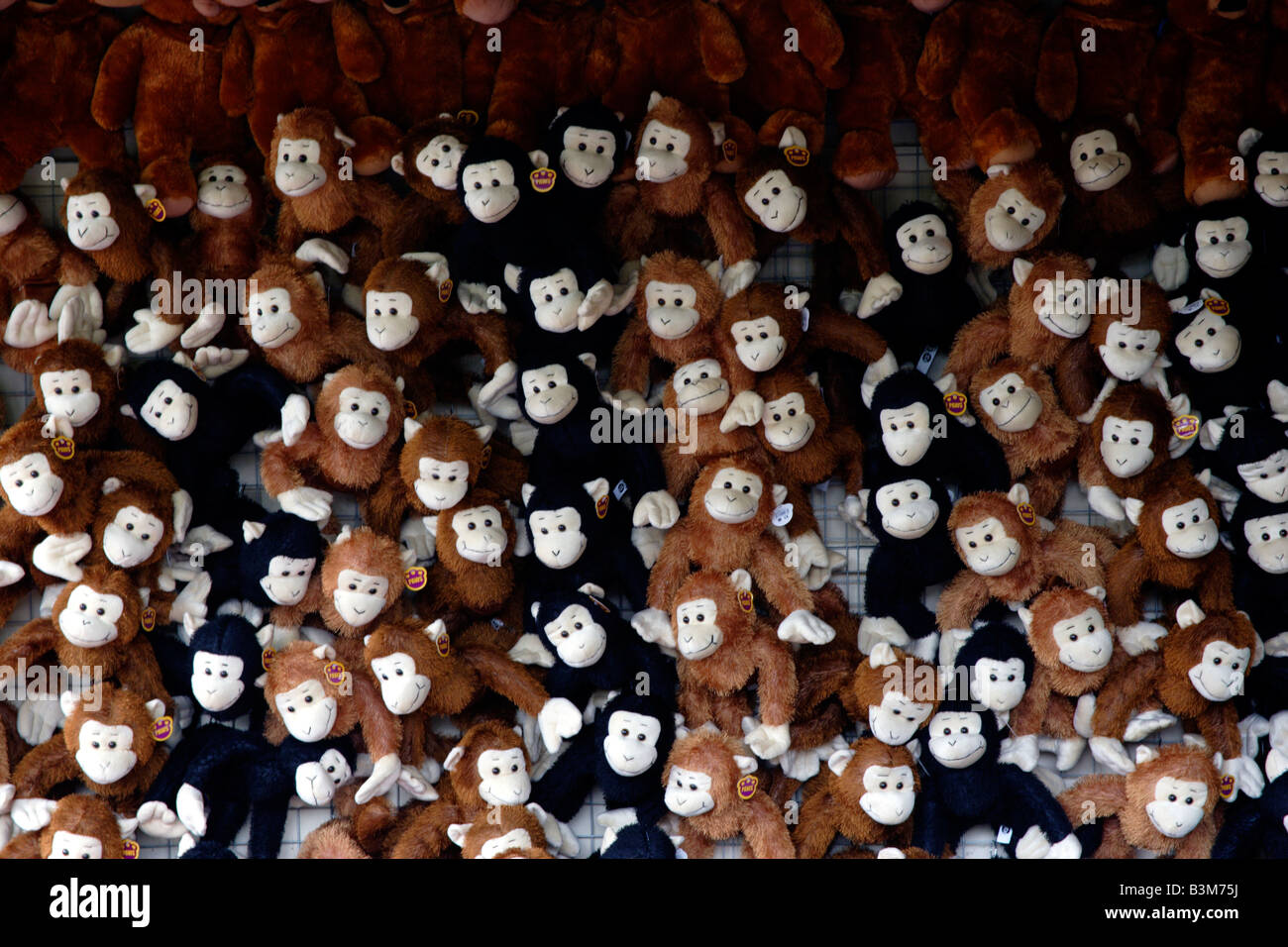 Monkey faces hi-res stock photography and images - Alamy