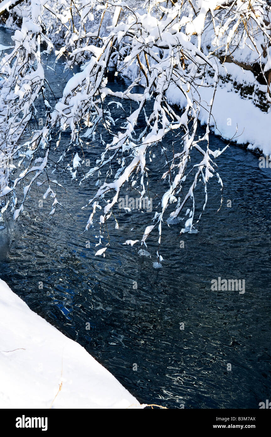 Winter landscape with snow covered trees and river Stock Photo - Alamy