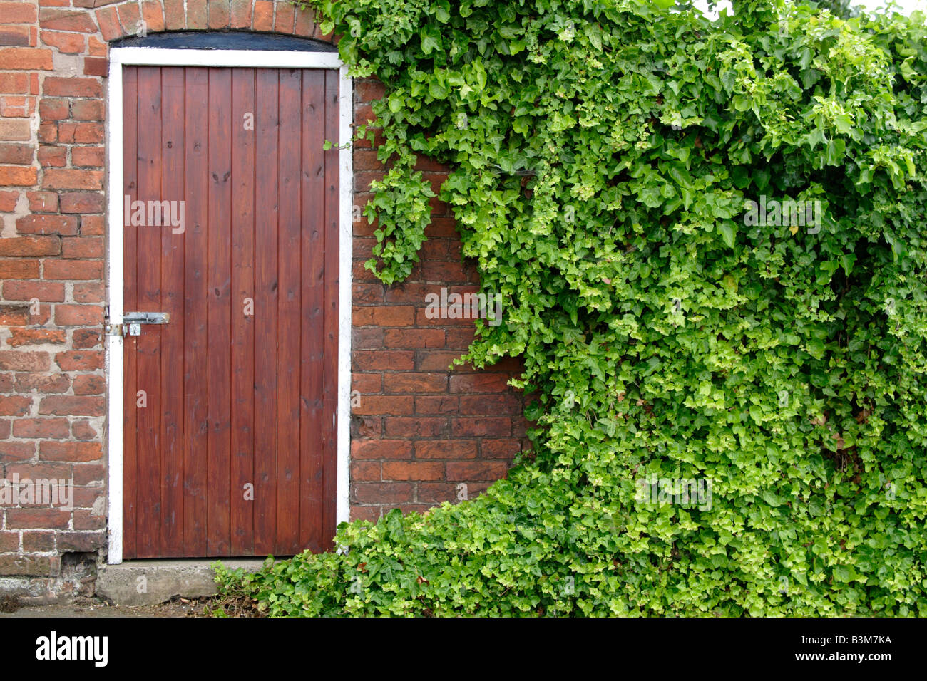 Entrance to Walled garden with Ivy covered wall Stock Photo - Alamy