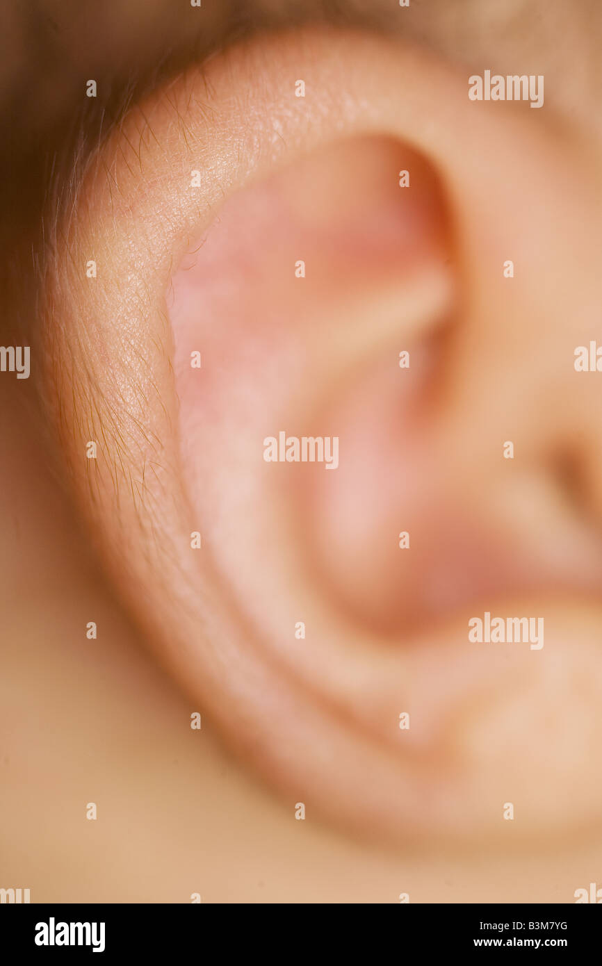 Ear Shape High Resolution Stock Photography and Images - Alamy