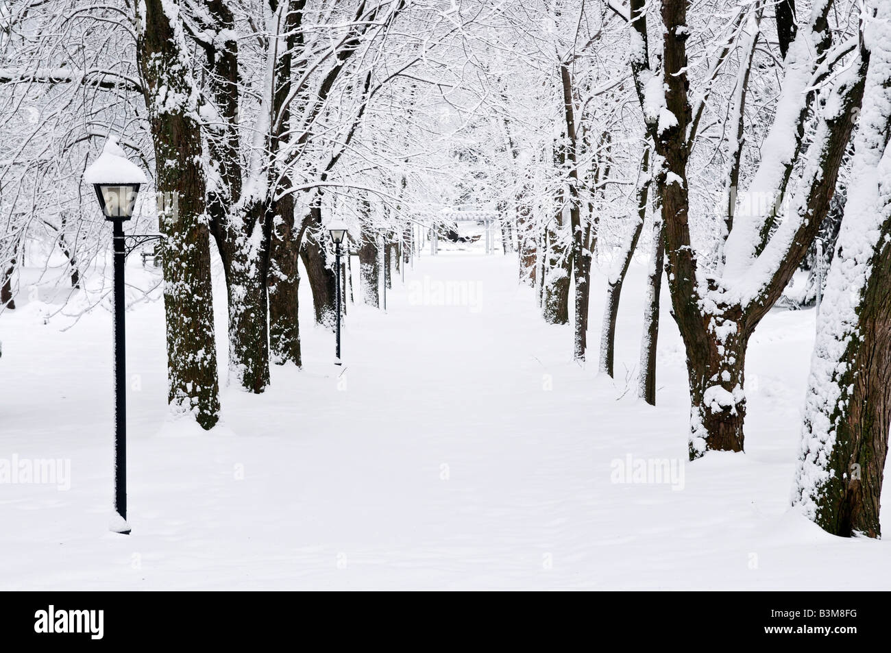 Snowy lane hi-res stock photography and images - Alamy