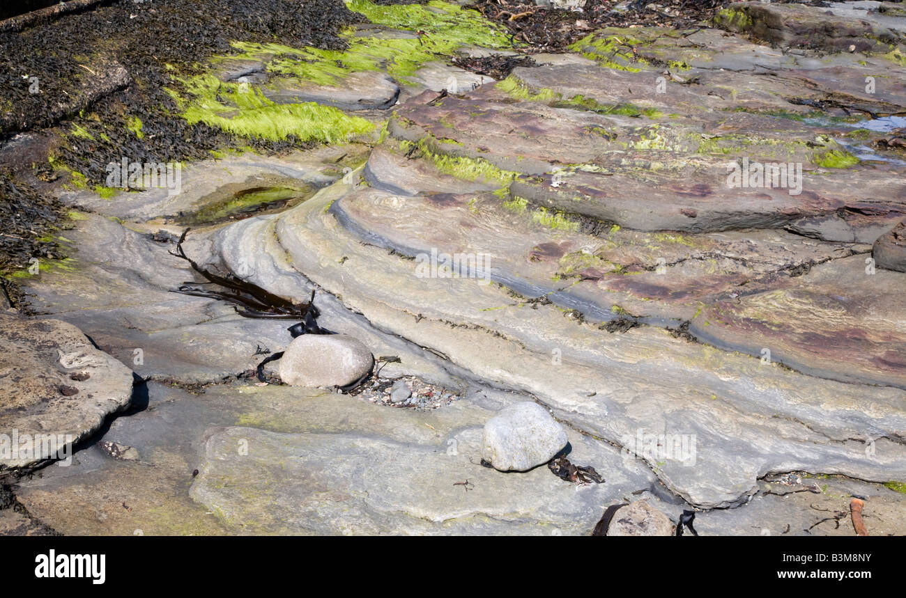 Interesting patterns formed through weathering of the limestone rocks ...