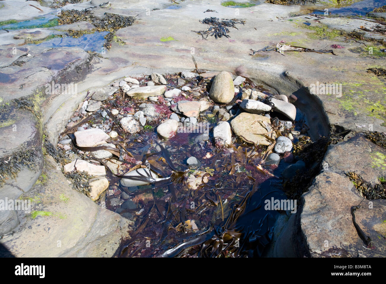 Interesting patterns formed through weathering of the limestone rocks ...