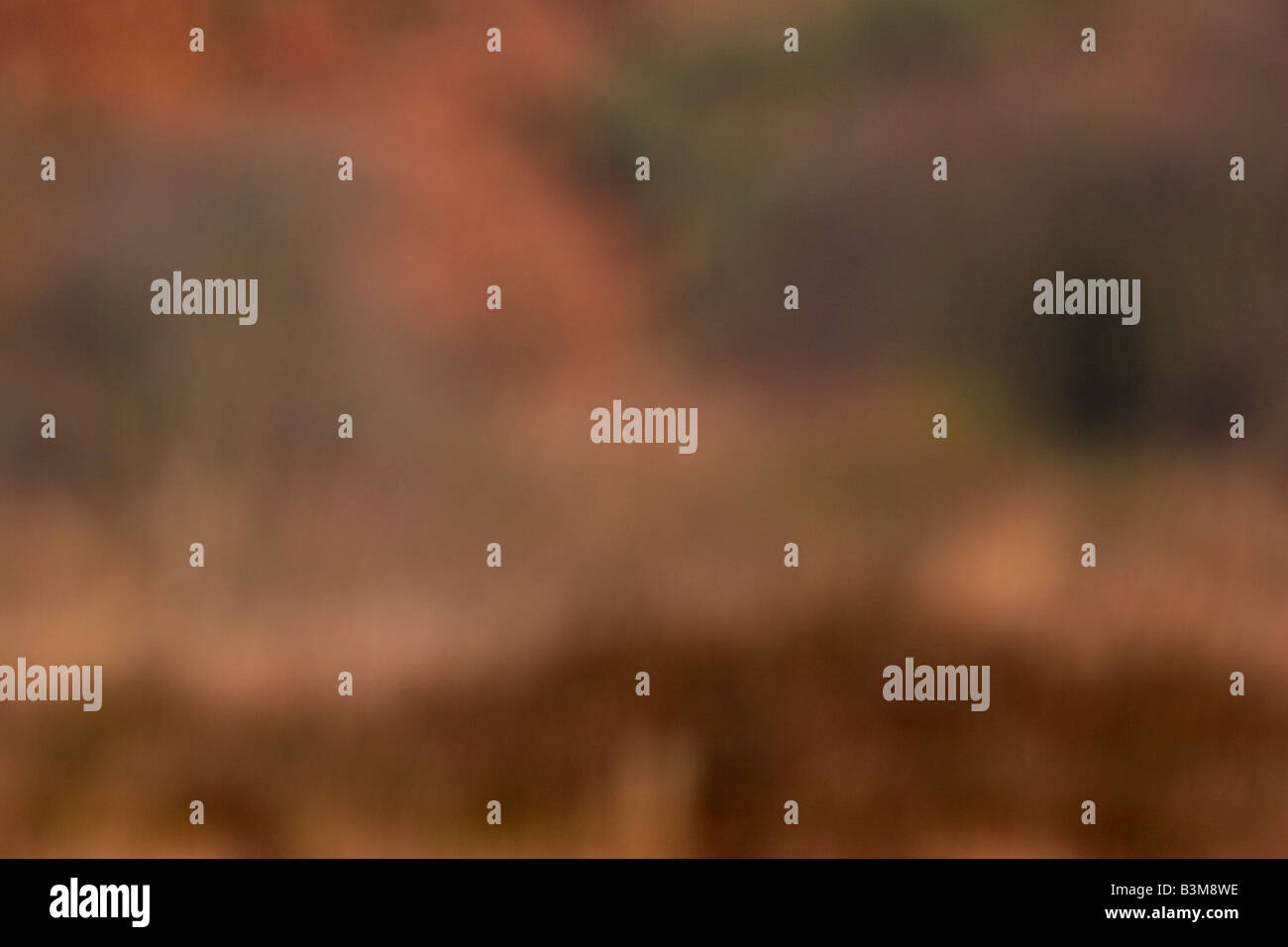 Abstract autumnal backgrounds for hi-res stock photography and images ...