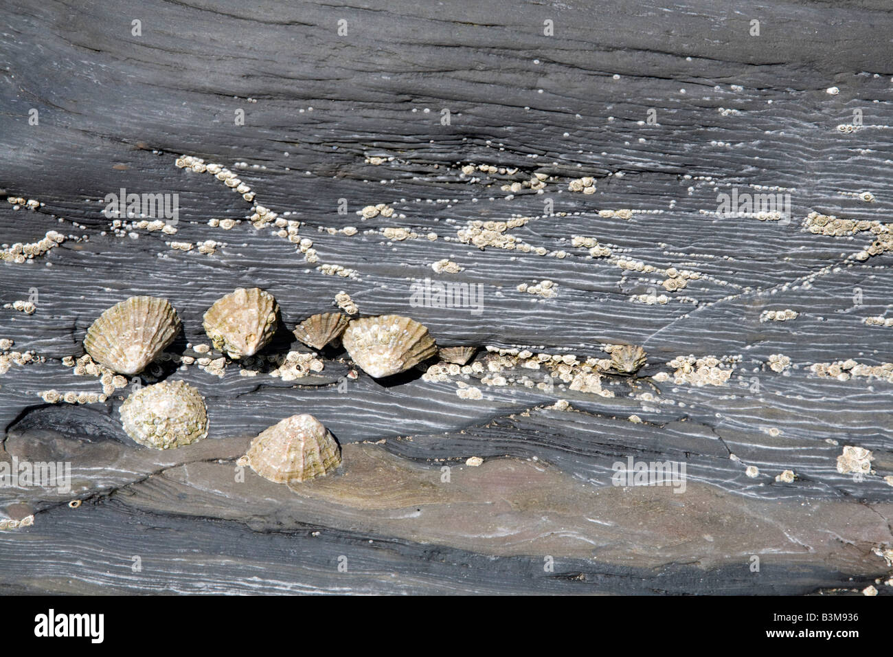 Interesting patterns formed through weathering of the limestone rocks ...