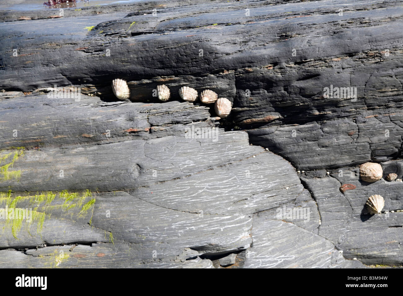 Interesting patterns formed through weathering of the limestone rocks ...