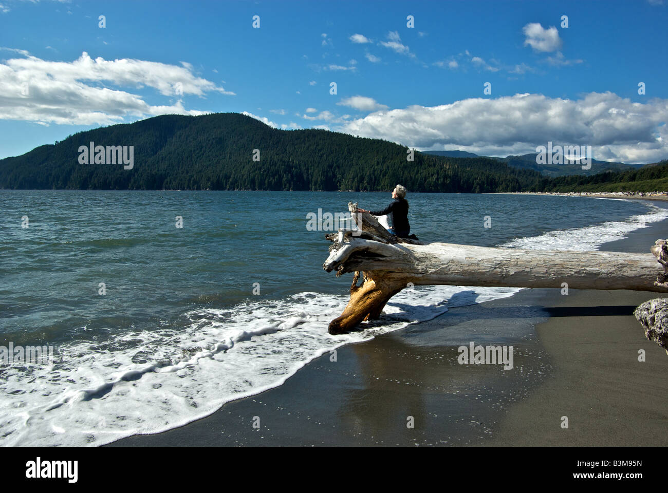 Driftwood on long sandy beach on Pacheedaht First Nations campground at ...