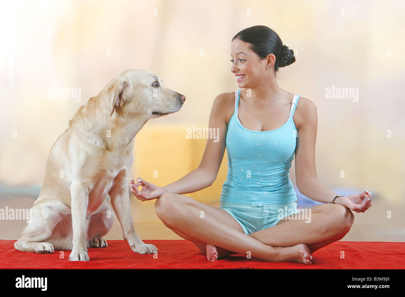 Labrador Retriever and young woman - yoga Stock Photo - Alamy