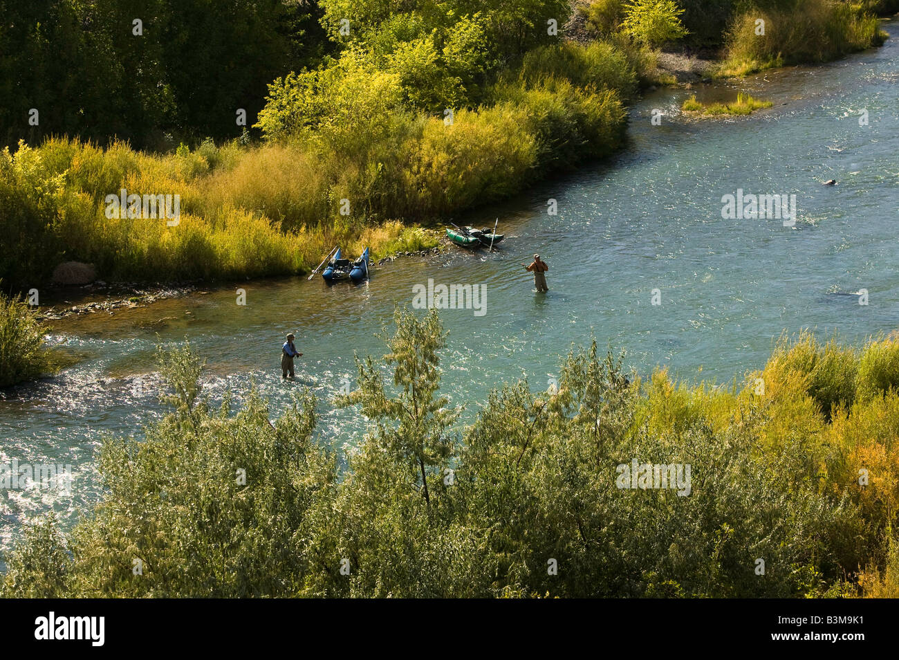 Fly fishing on the lower Owyhee River a blue ribbon Brown Trout fishery ...