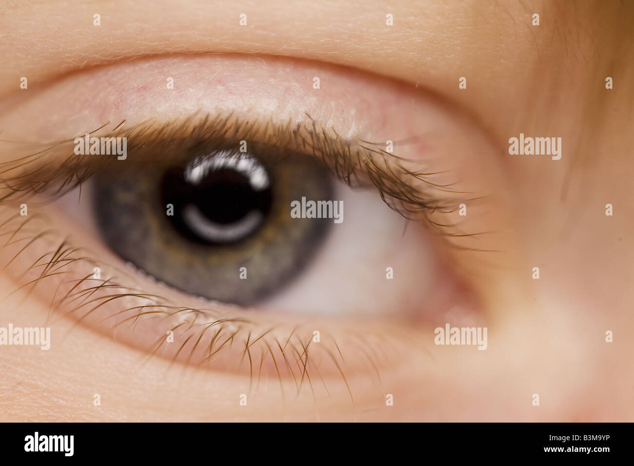 A close up macro photo of a beautiful child's eye Stock Photo - Alamy