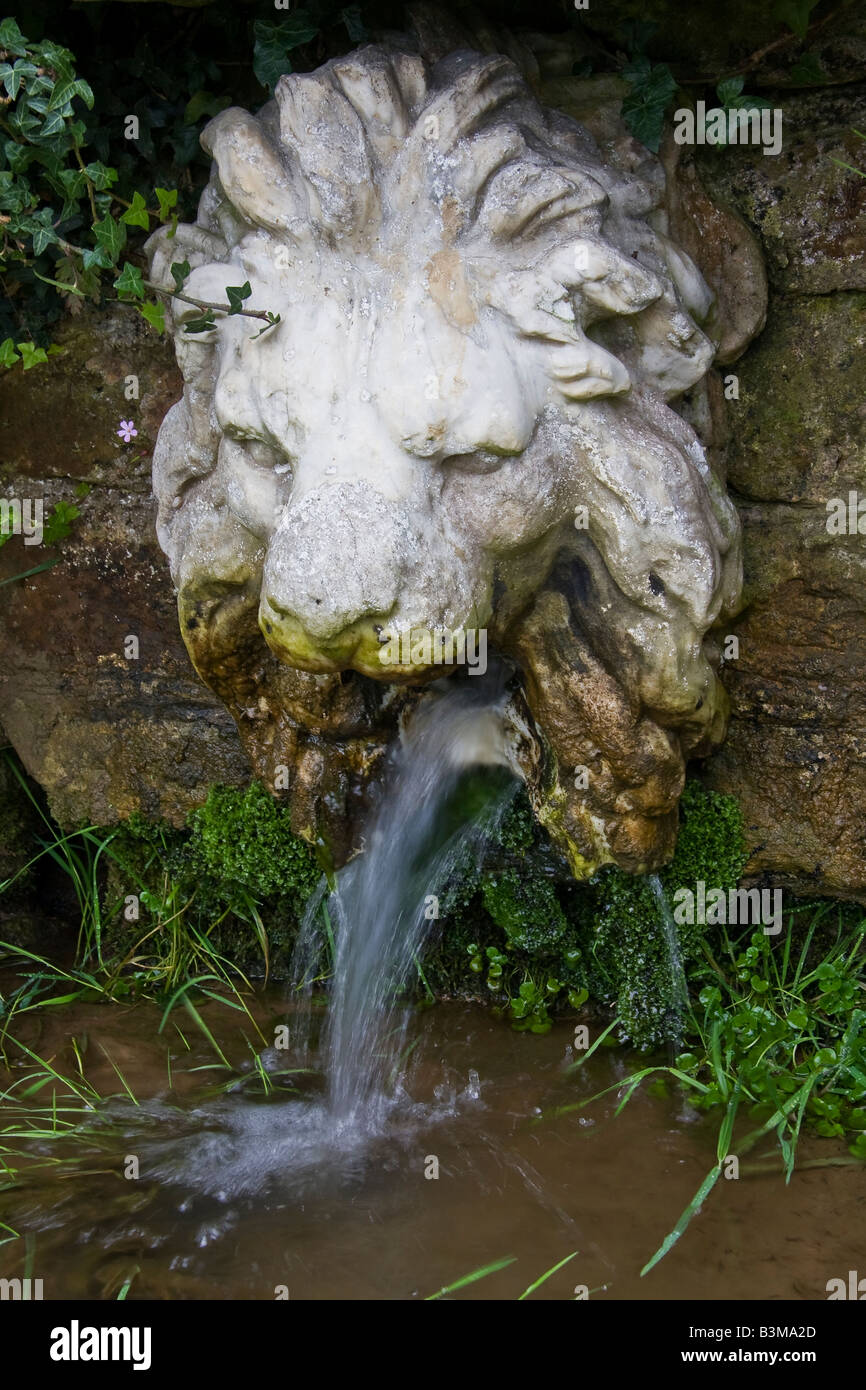 The Lion Spring Stock Photo - Alamy