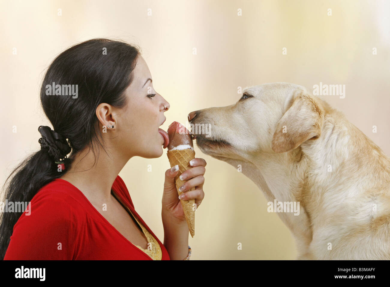 Dogs eating ice cream hi-res stock photography and images - Alamy