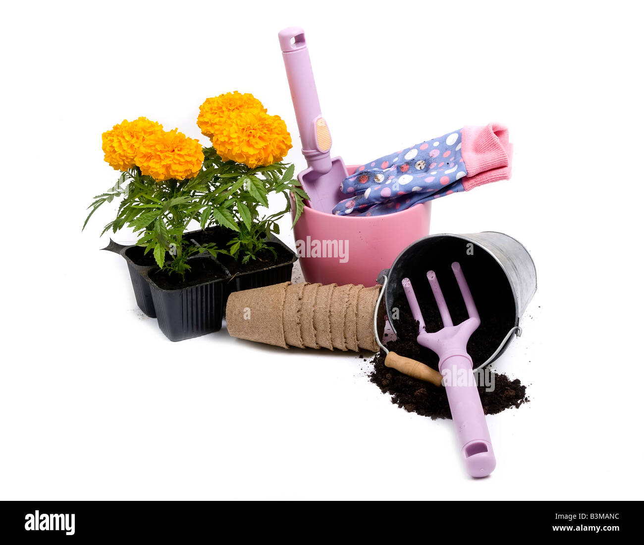 All the tools for planting springtime flowers Stock Photo - Alamy