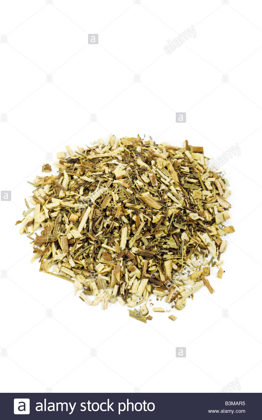 Artemisia Abrotanum High Resolution Stock Photography and Images - Alamy
