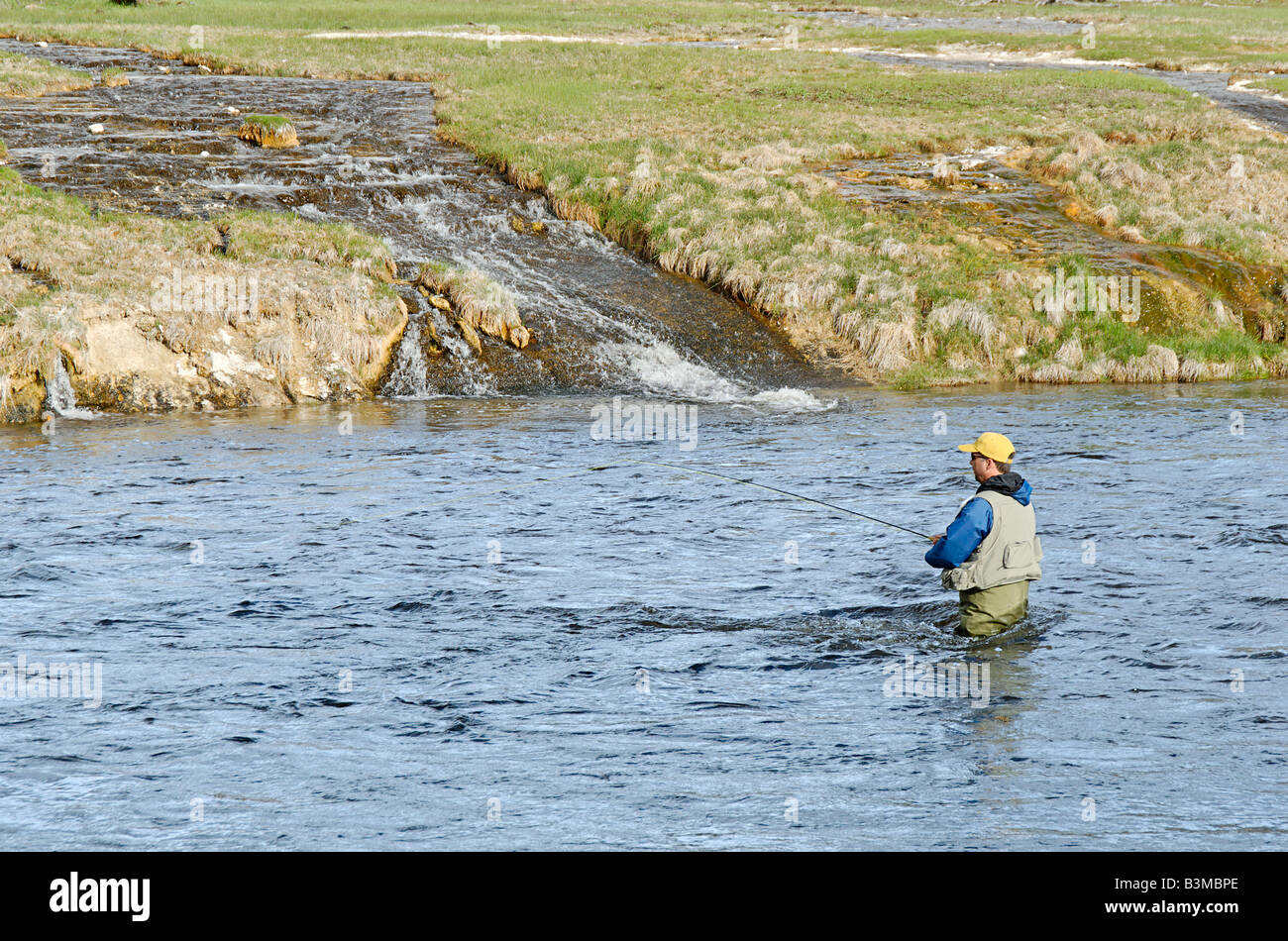 Fly Fisherman in a river in Yellowstone National Park Stock Photo - Alamy