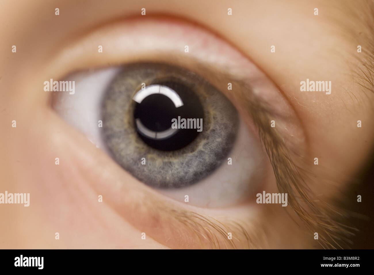A close up macro photo of a beautiful child's eye Stock Photo - Alamy