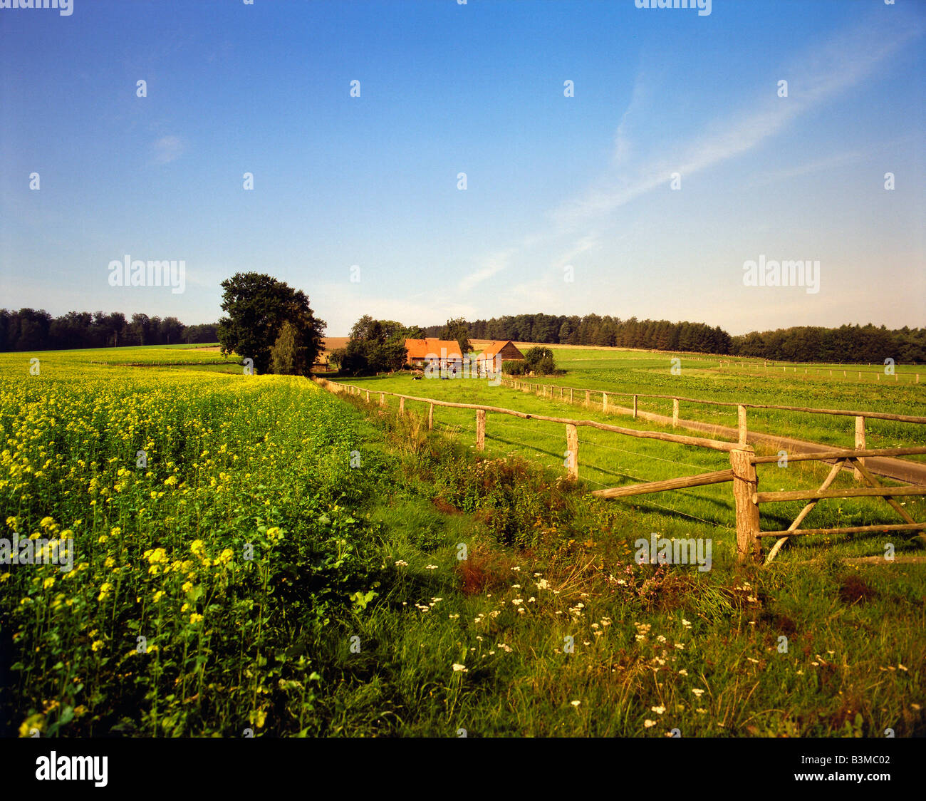 Germany, Lower Saxony, Melle, Landscape Stock Photo - Alamy