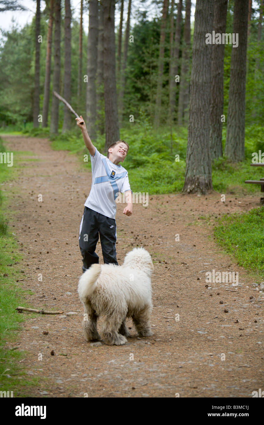 Young boy playing fetch with his pet labradoodle dog Stock Photo - Alamy