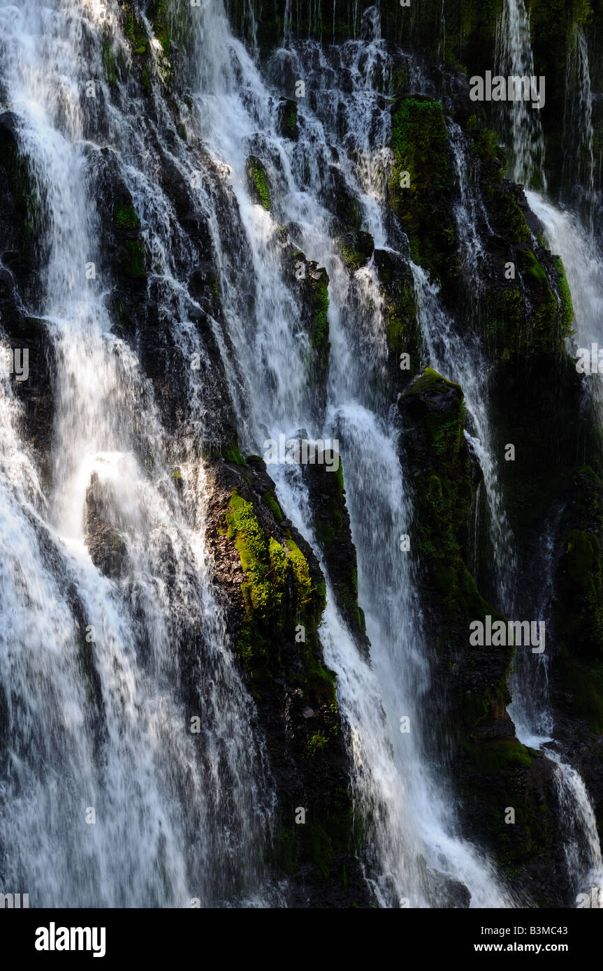 Where The Water Falls: Exploring McArthur-Burney Falls Memorial State Park