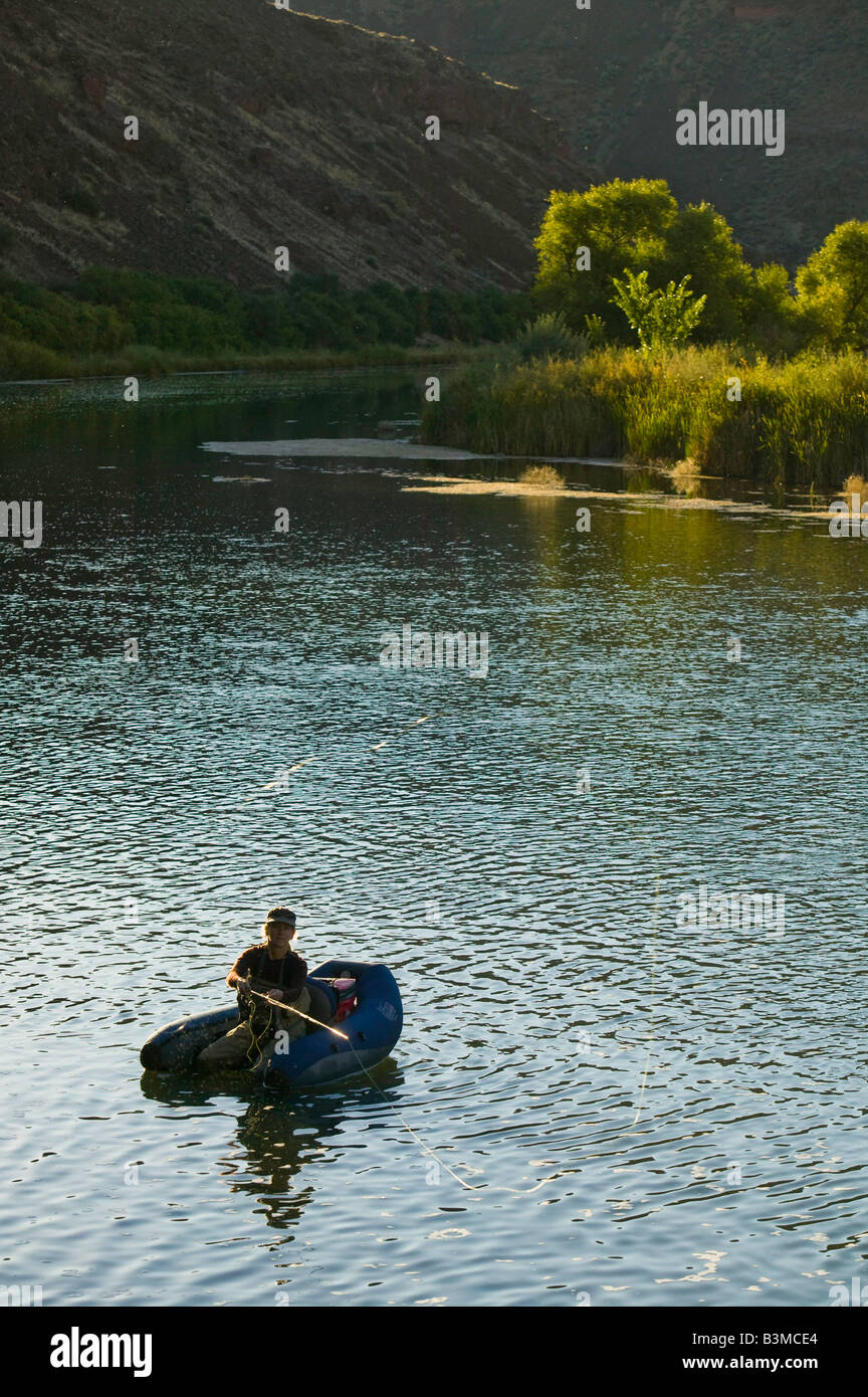 Fly fishing on the lower Owyhee River a blue ribbon Brown Trout fishery ...