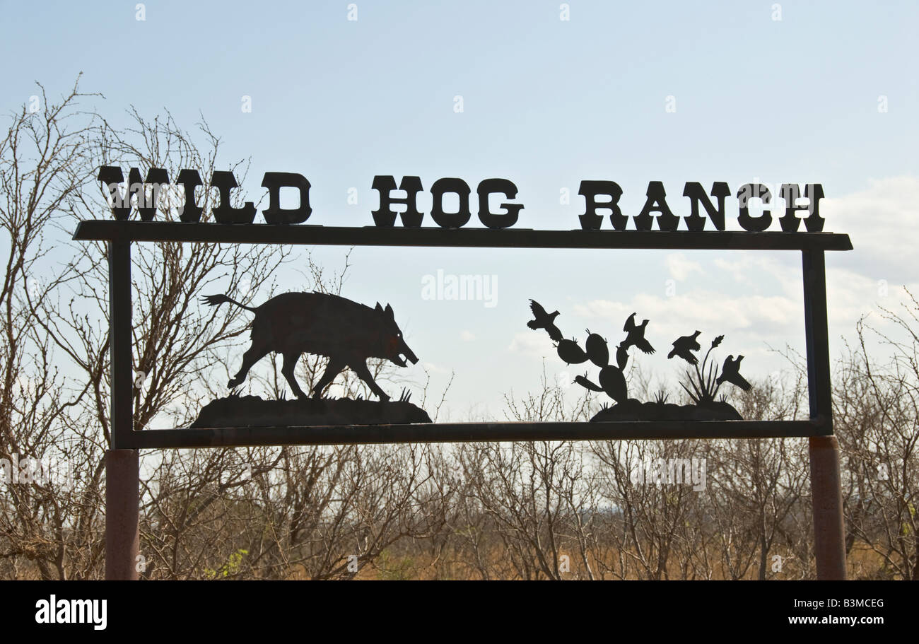 Texas Panhandle Region Wild Hog Ranch sign Stock Photo - Alamy
