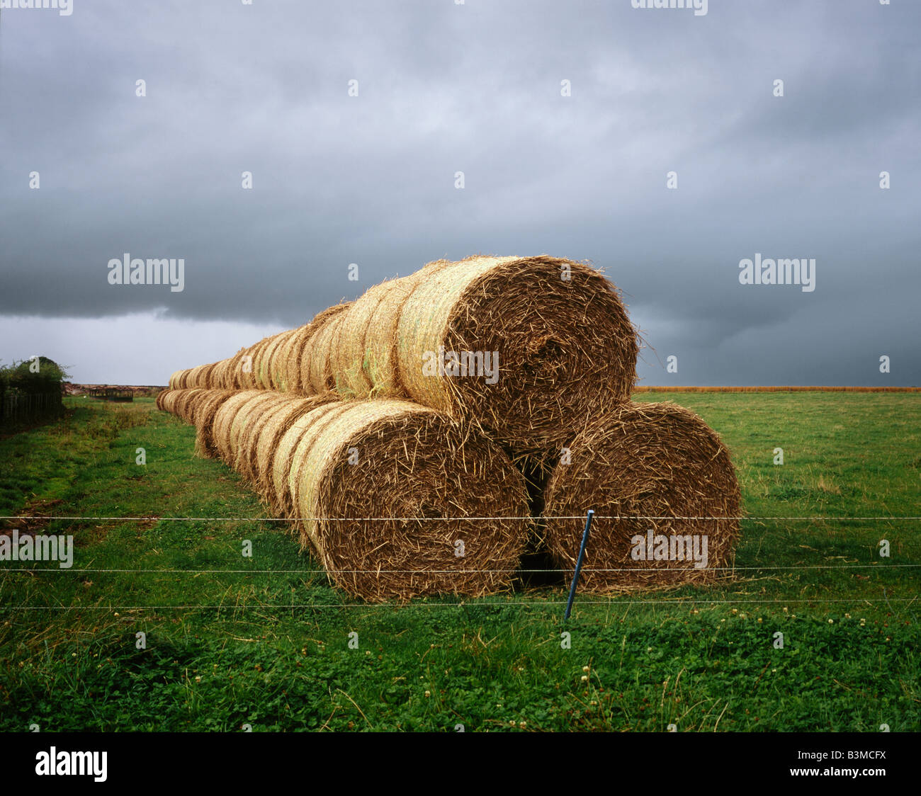 Bails of grass hi-res stock photography and images - Alamy