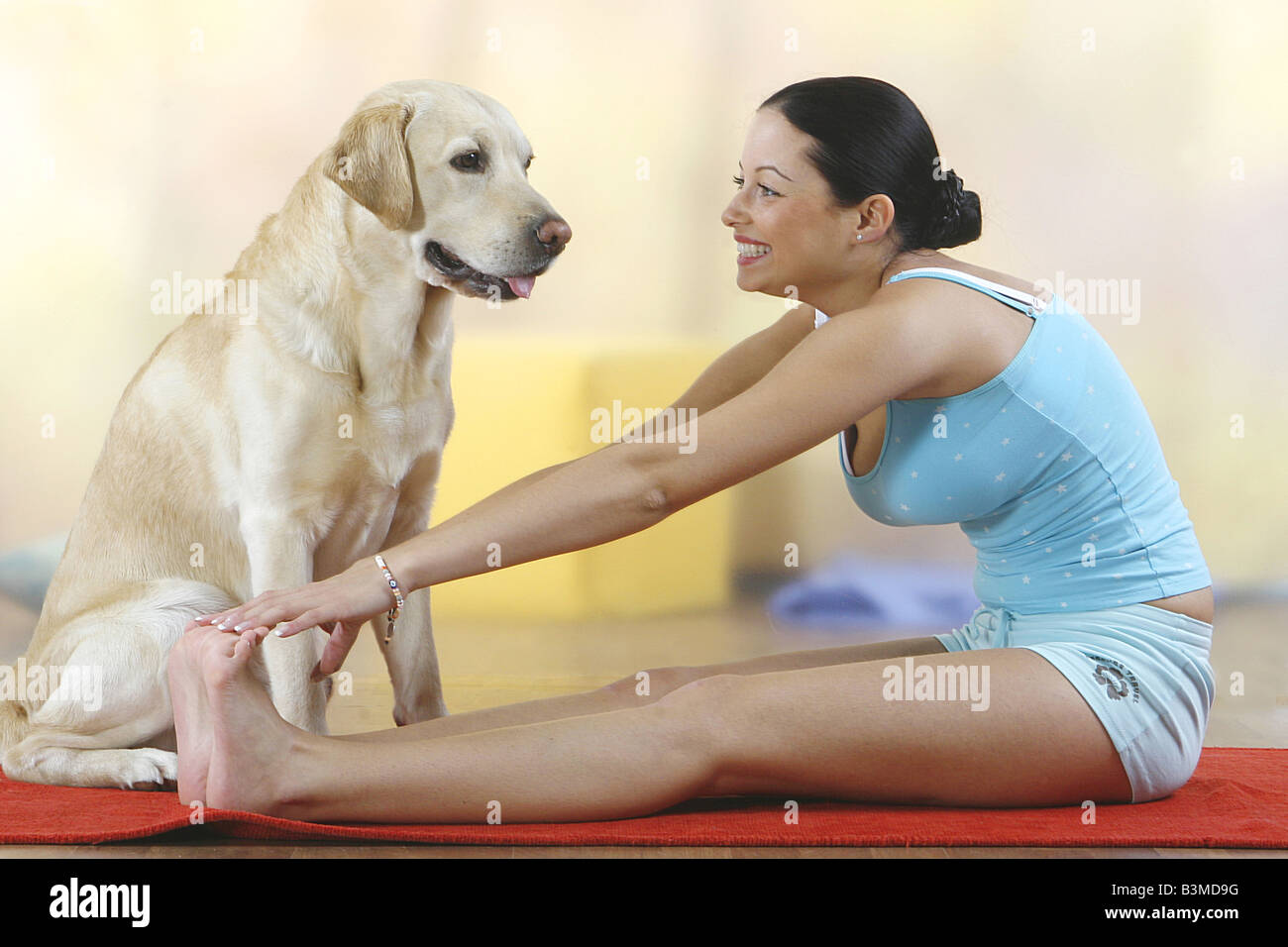 Labrador Retriever and young woman - yoga Stock Photo - Alamy