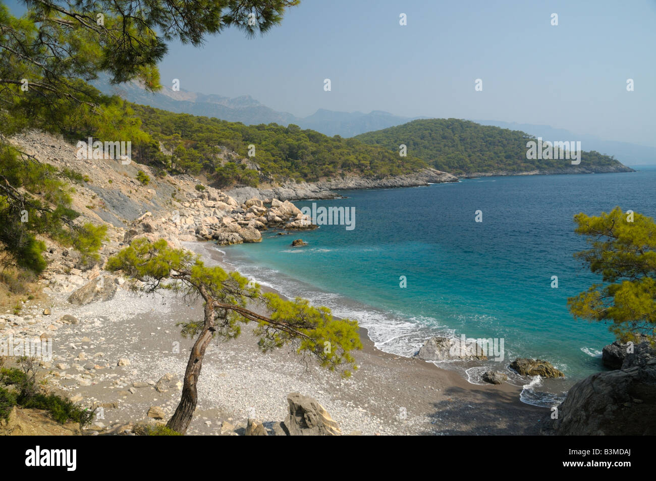 Bay with pine trees Stock Photo - Alamy