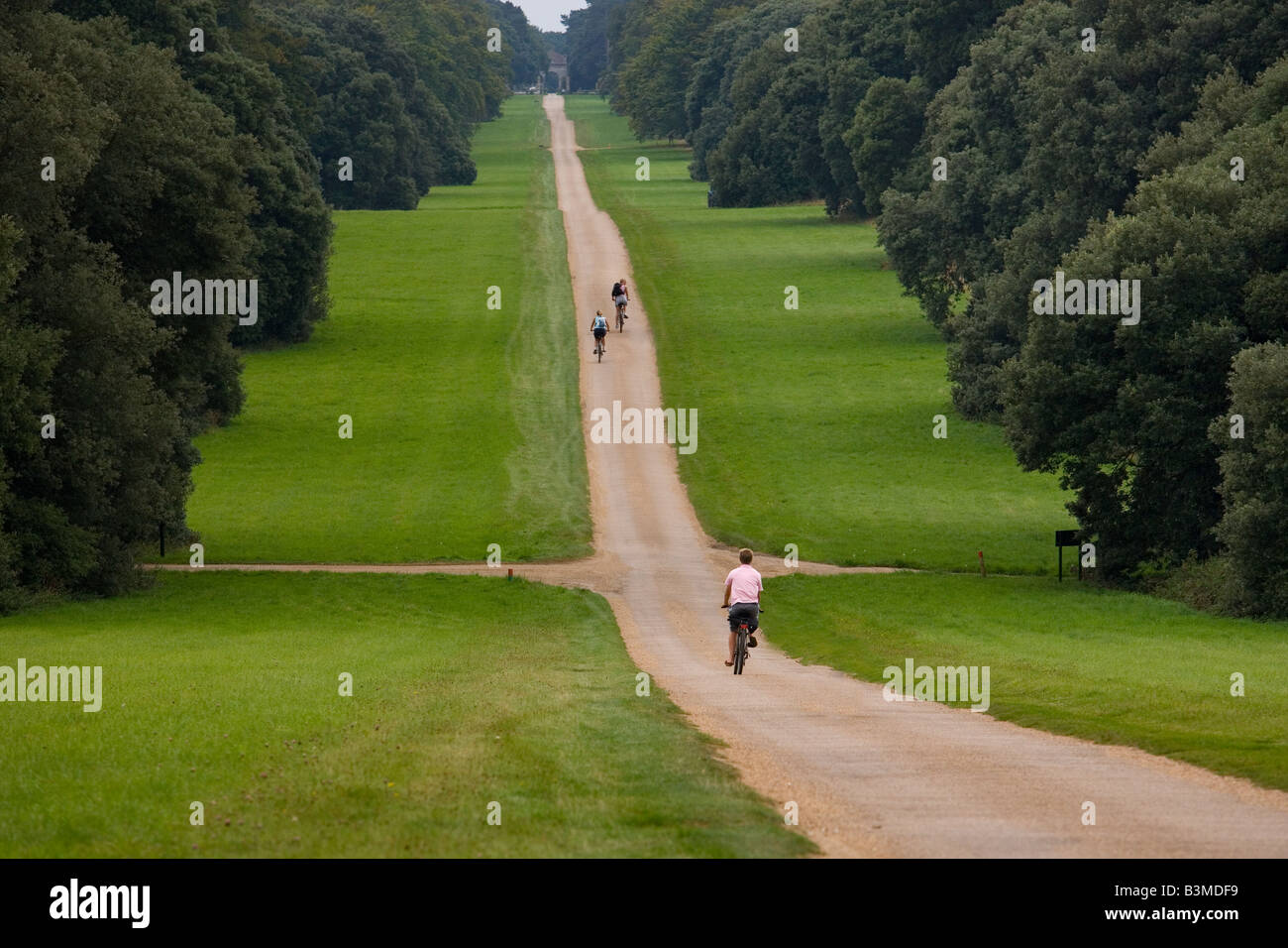 Cyclists at Holkham Park Norfolk UK Stock Photo - Alamy