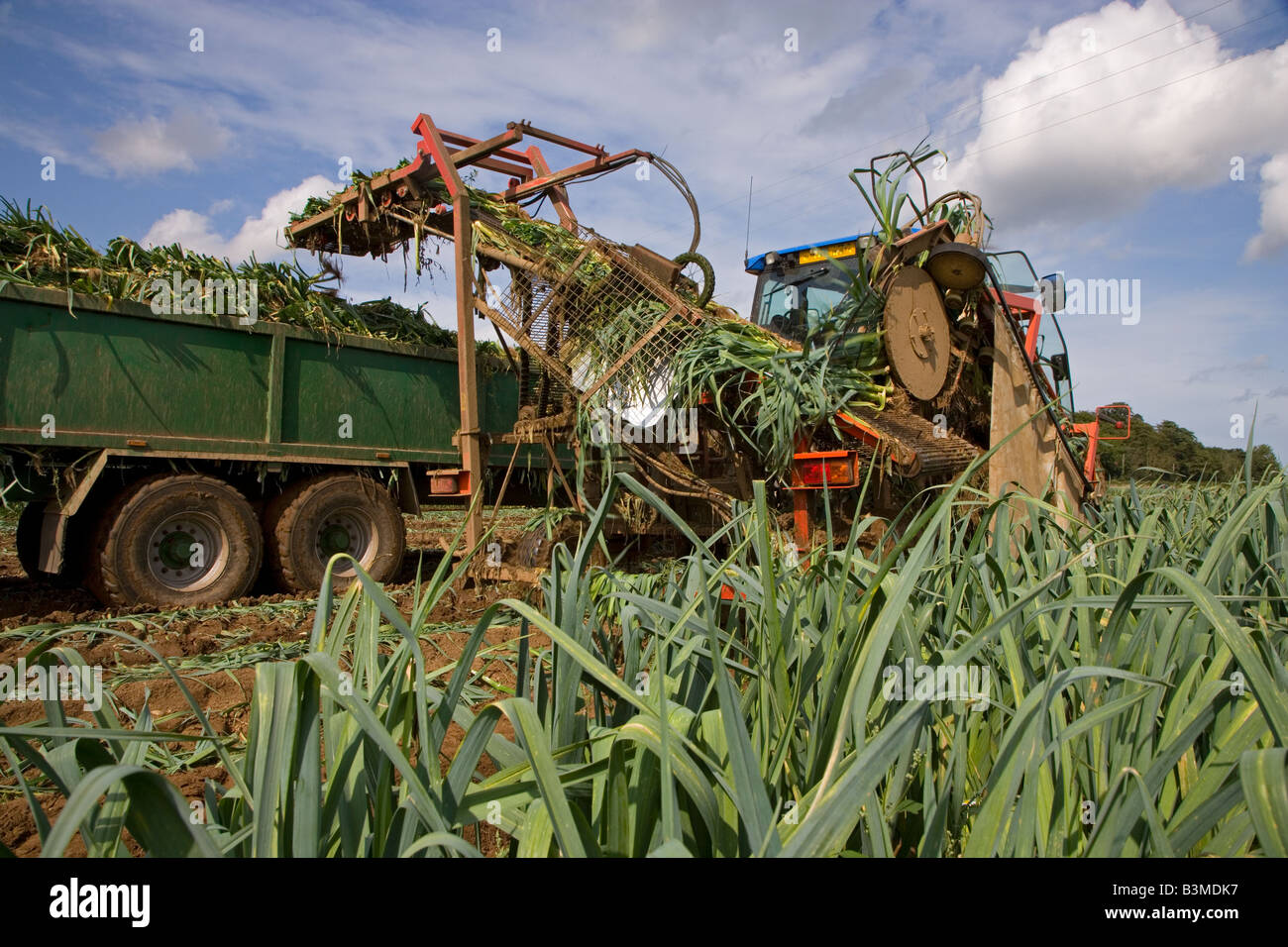 Harvest load hi-res stock photography and images - Alamy