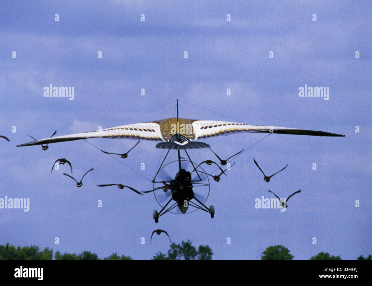 Fly away home hi-res stock photography and images - Alamy