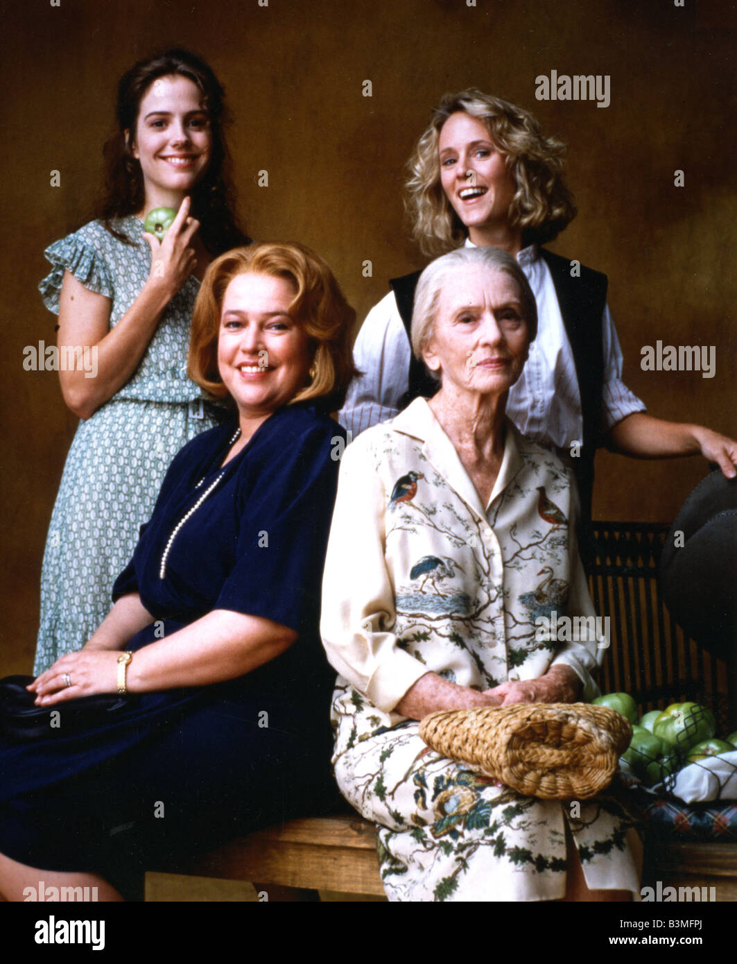 Fried Green Tomatoes At The Whistle Stop Cafe 1991 Rank Film With At