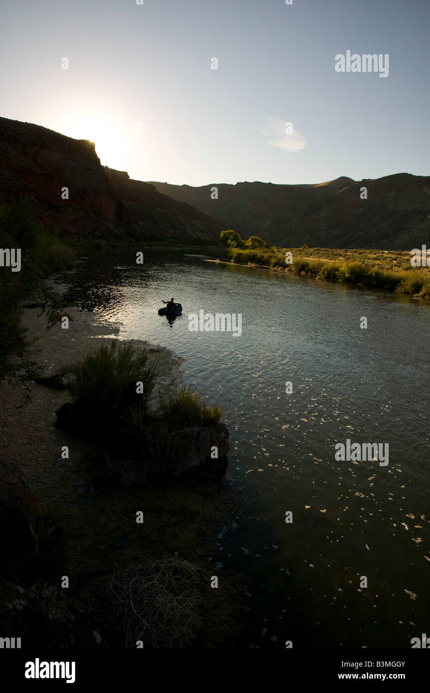 Fly fishing on the lower Owyhee River a blue ribbon Brown Trout fishery ...