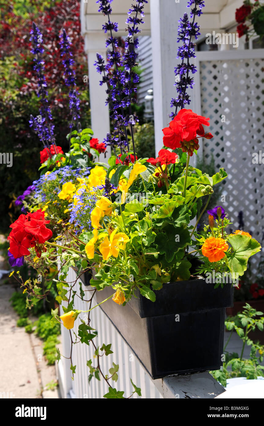 Flower box on house porch close up Stock Photo - Alamy