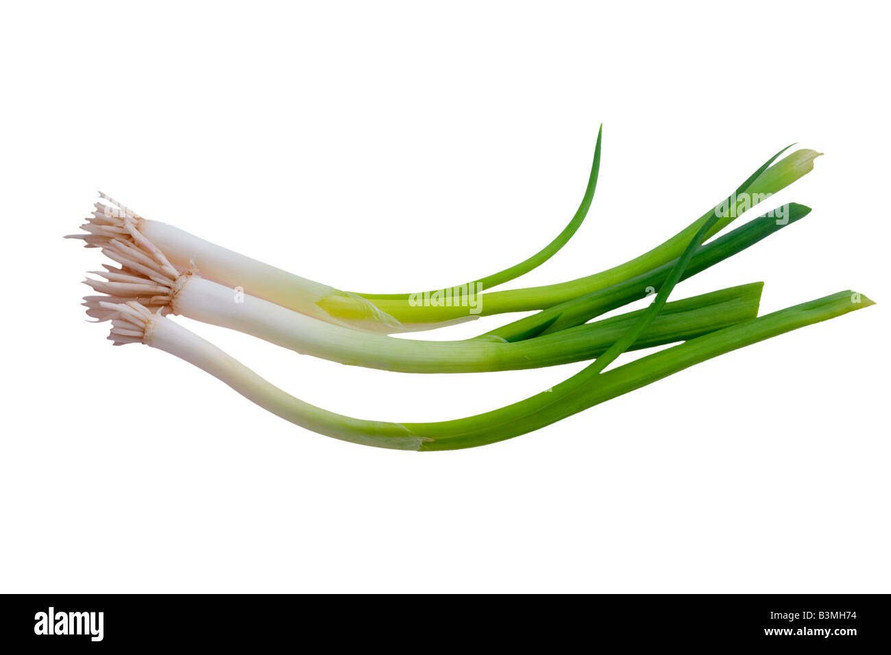 green onions isolated on white background Stock Photo - Alamy