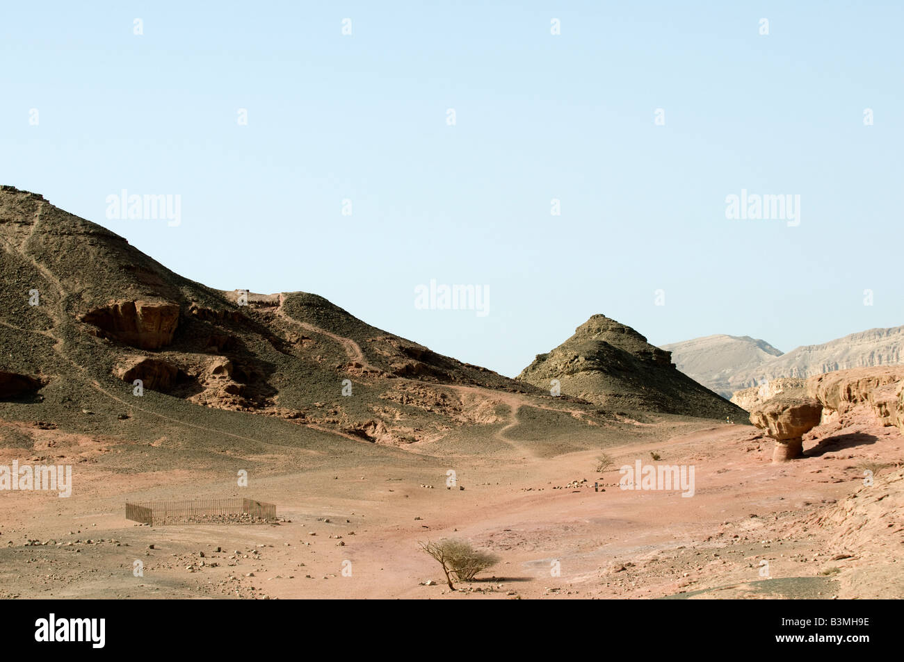 timna national park Israel Stock Photo - Alamy