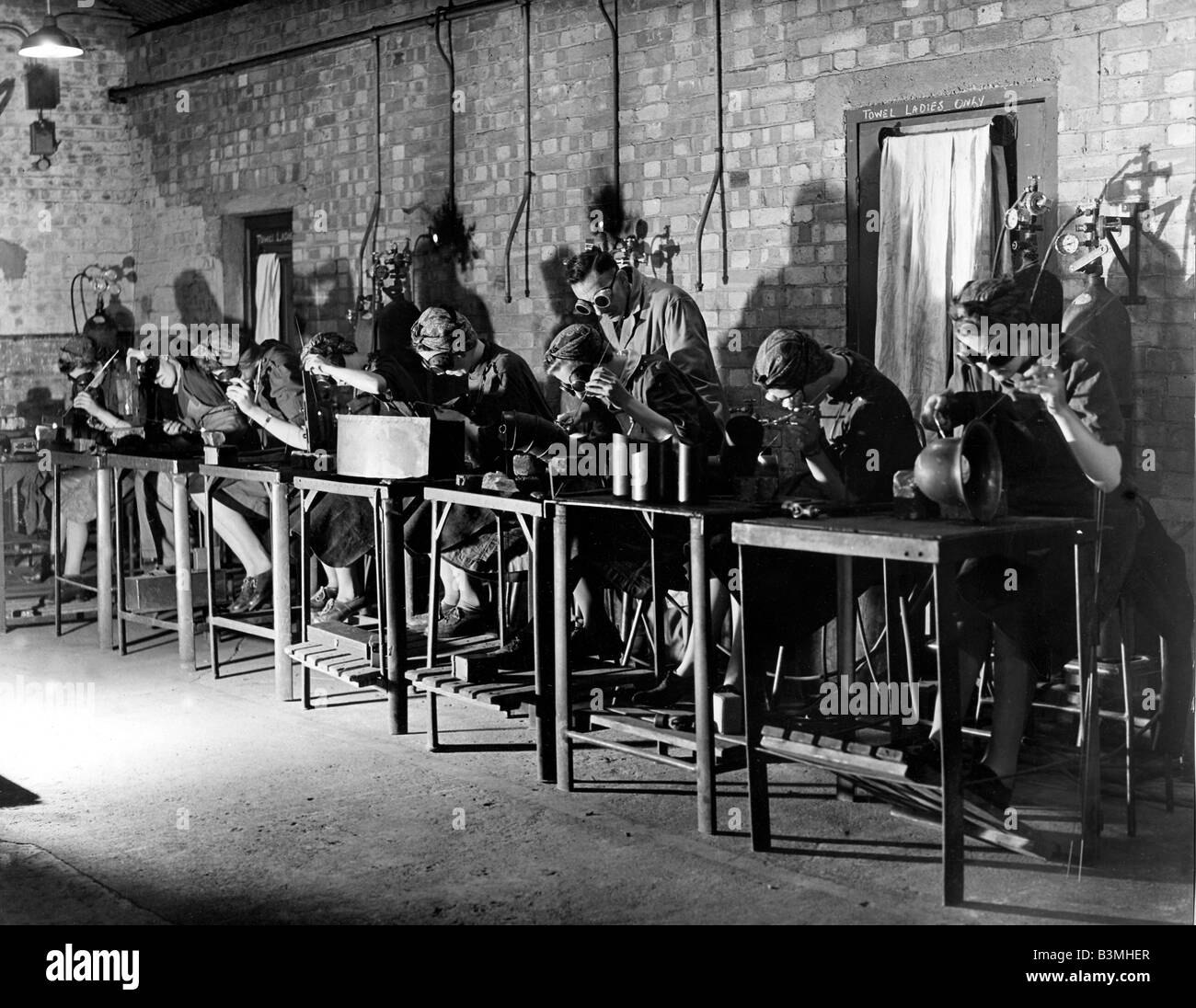 Navy wrens hi-res stock photography and images - Alamy