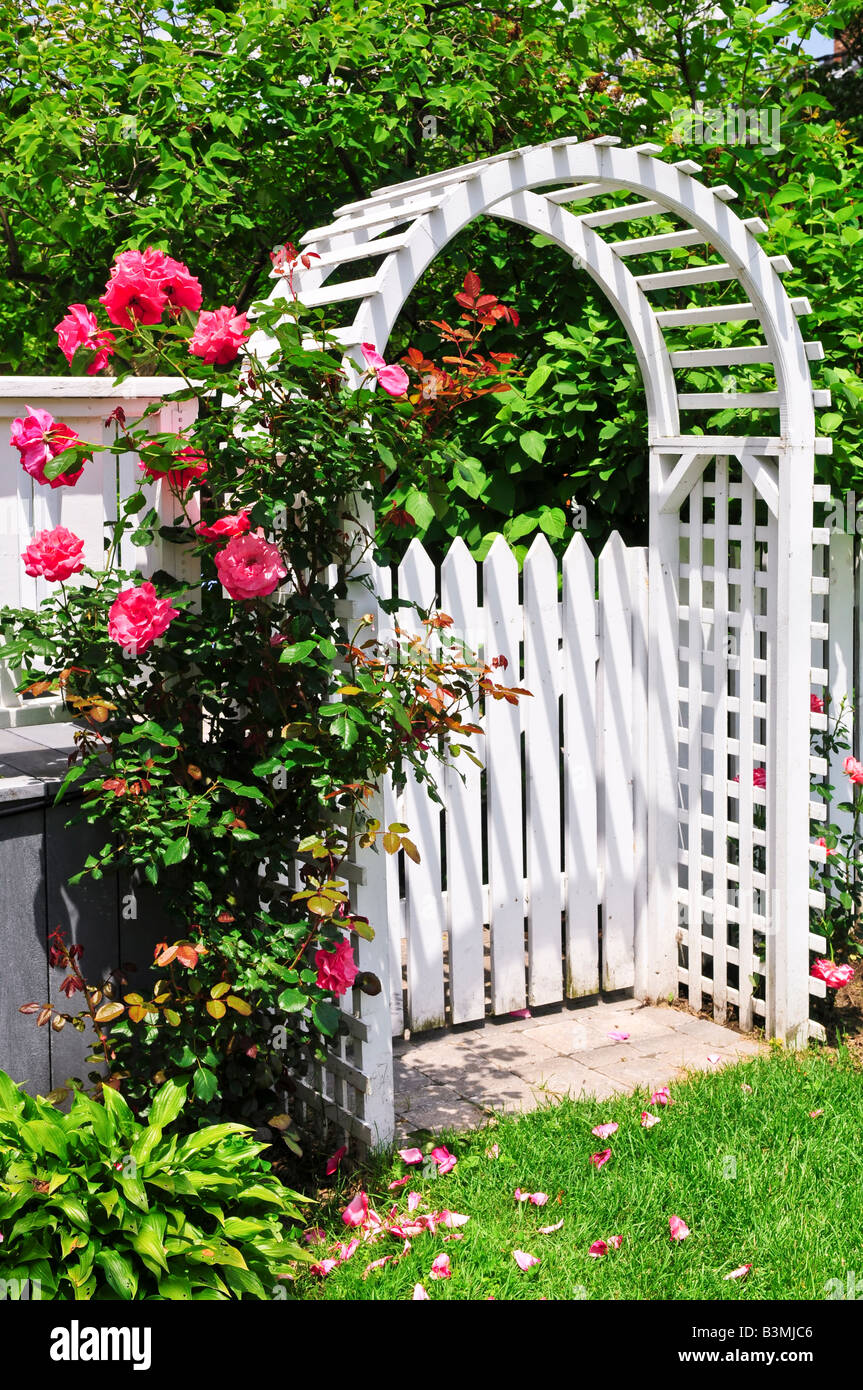 Roses Arbor Garden Trellis High Resolution Stock Photography and Images ...