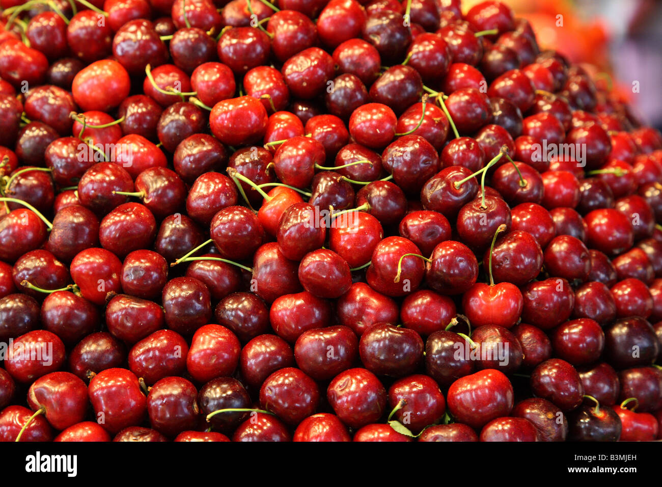 Heaps of perfect cherries Stock Photo - Alamy