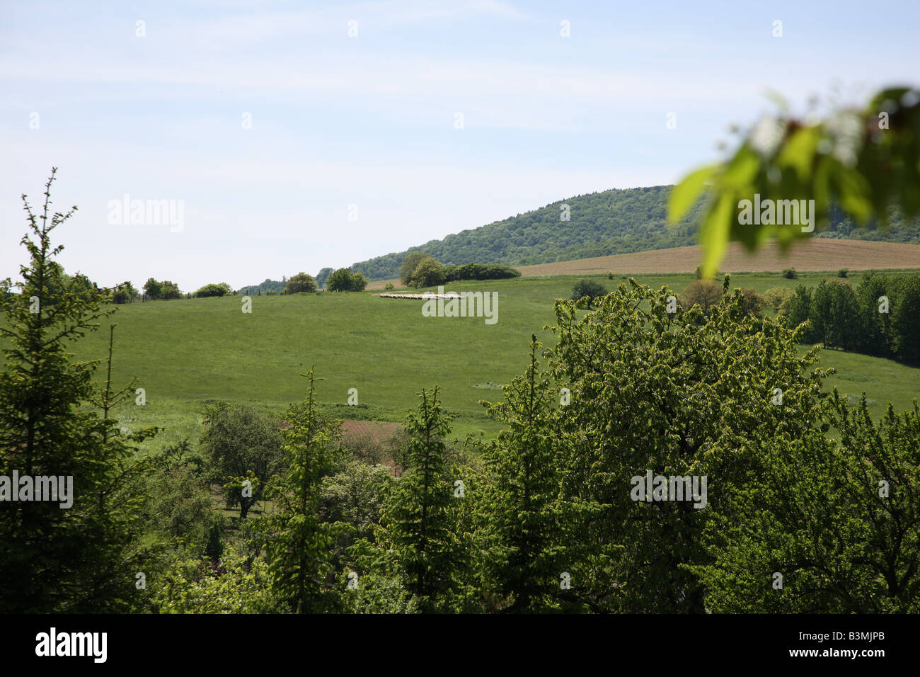 Sheppard on the hill Stock Photo - Alamy