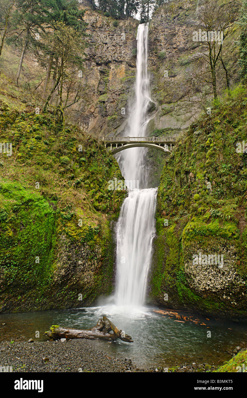 Full view of Multnomah Falls in the Columbia River Gorge Stock Photo ...