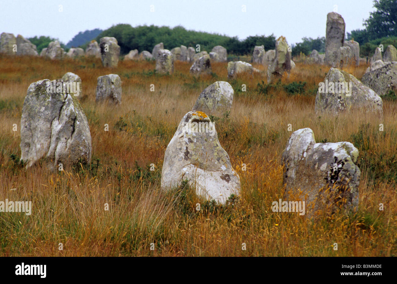 France Brittany Carnac A field of Neolithic stone alignments known as ...
