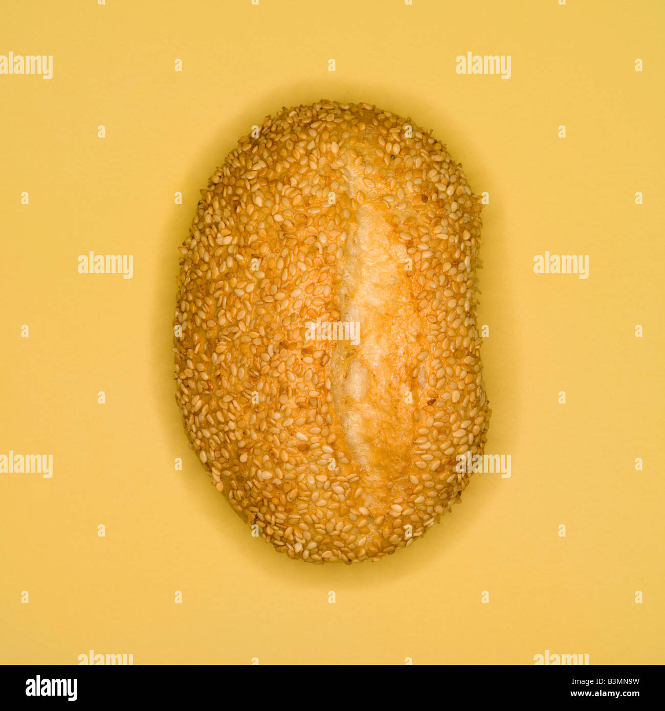 Sesame bread roll, elevated view Stock Photo - Alamy