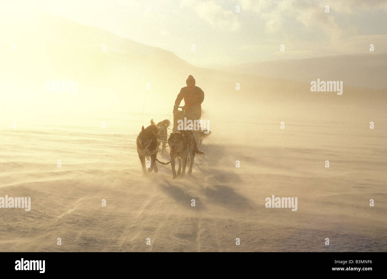 Expedition snow dog sled hi-res stock photography and images - Alamy