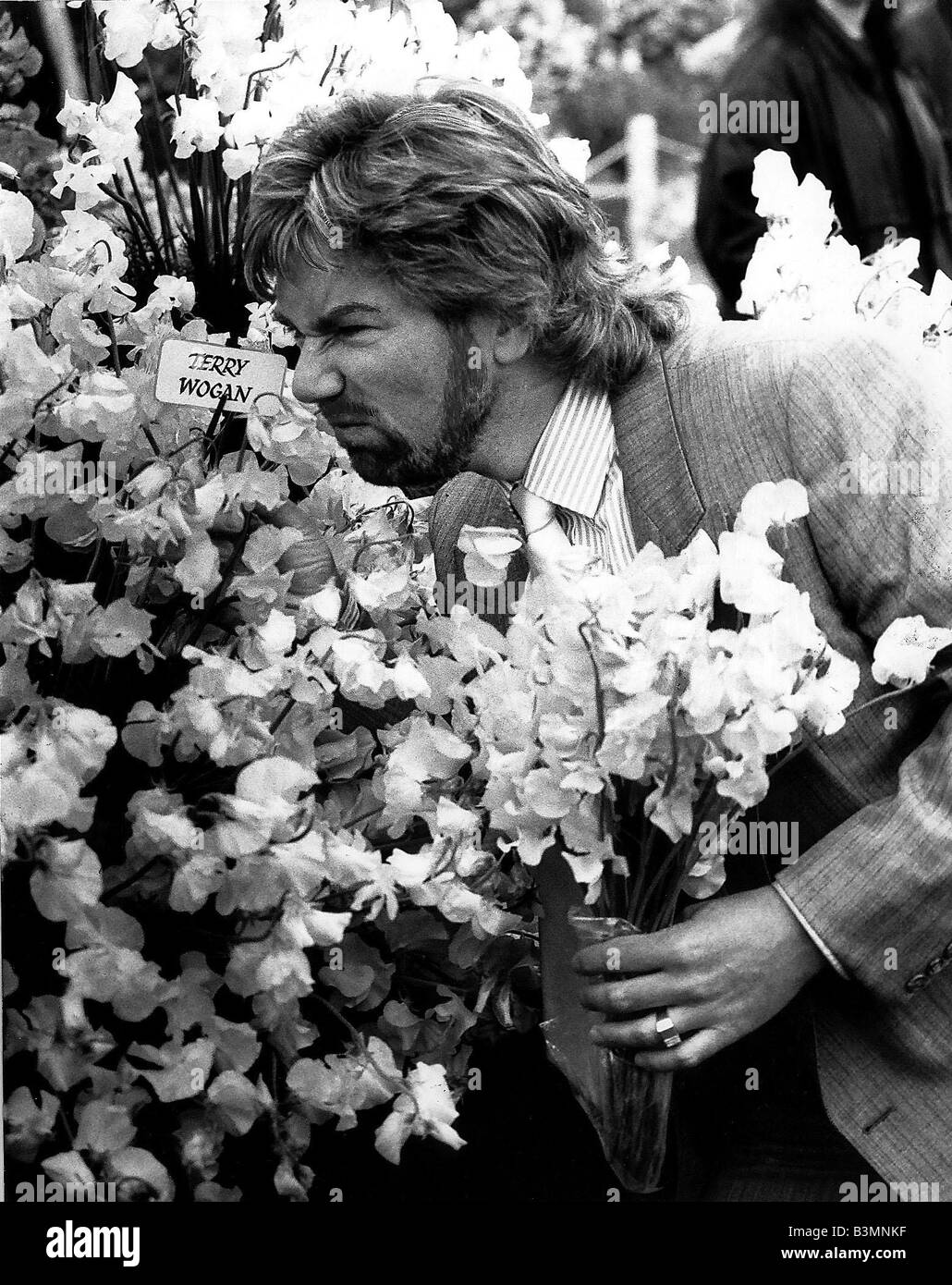 Noel Edmonds Tv Presenter Stock Photo - Alamy
