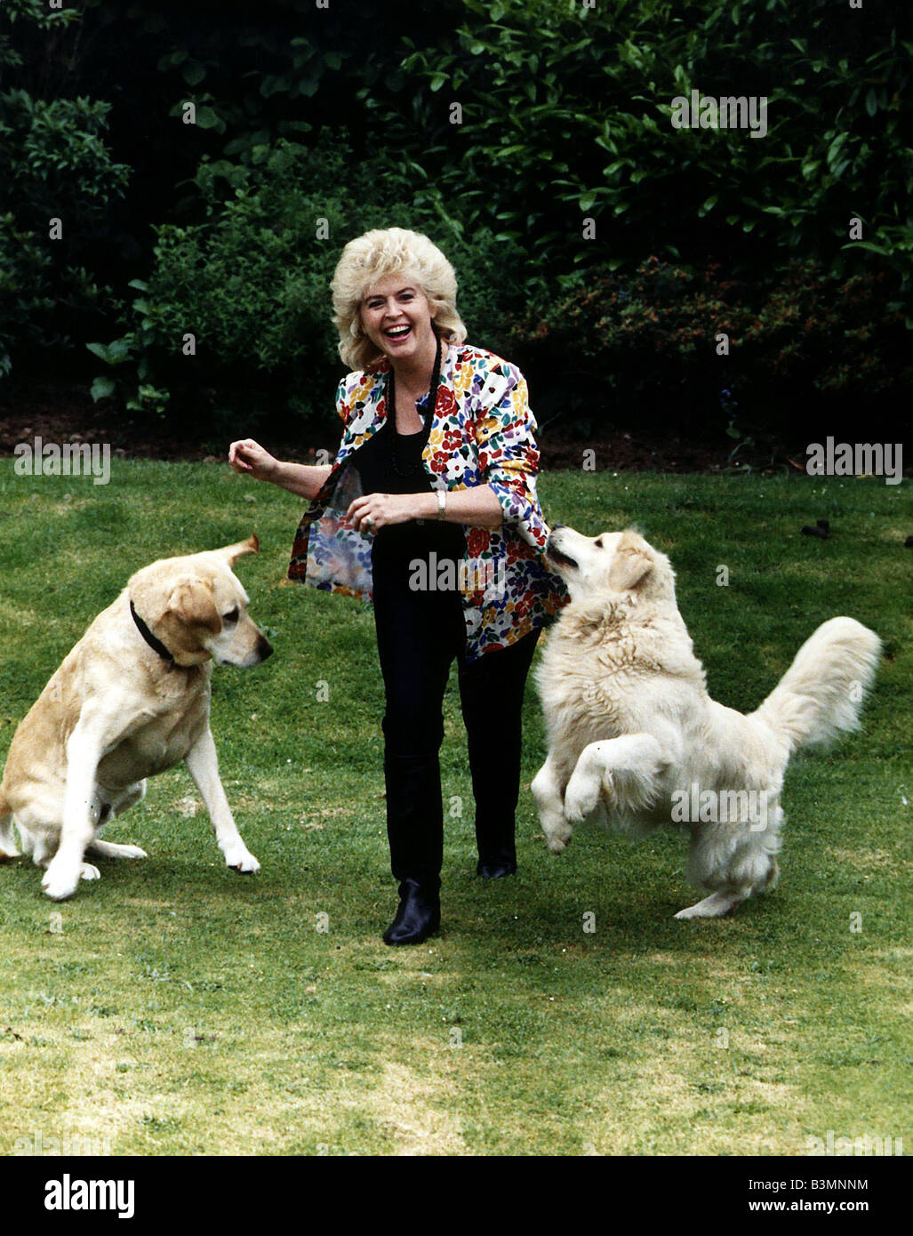Gloria Hunniford TV Presenter in garden with dogs Stock Photo - Alamy